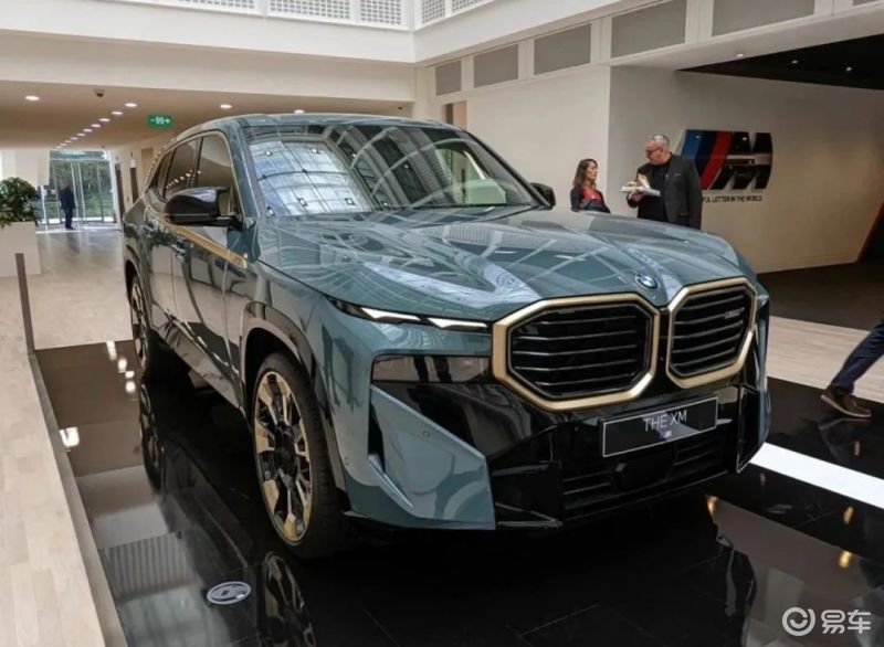 2300000元的BMW，配什么车漆最好看？_易车