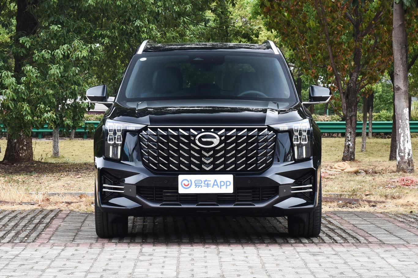 【传祺GS82.0T 两驱尊享版 7座正前水平图片-汽车图片大全】-易车