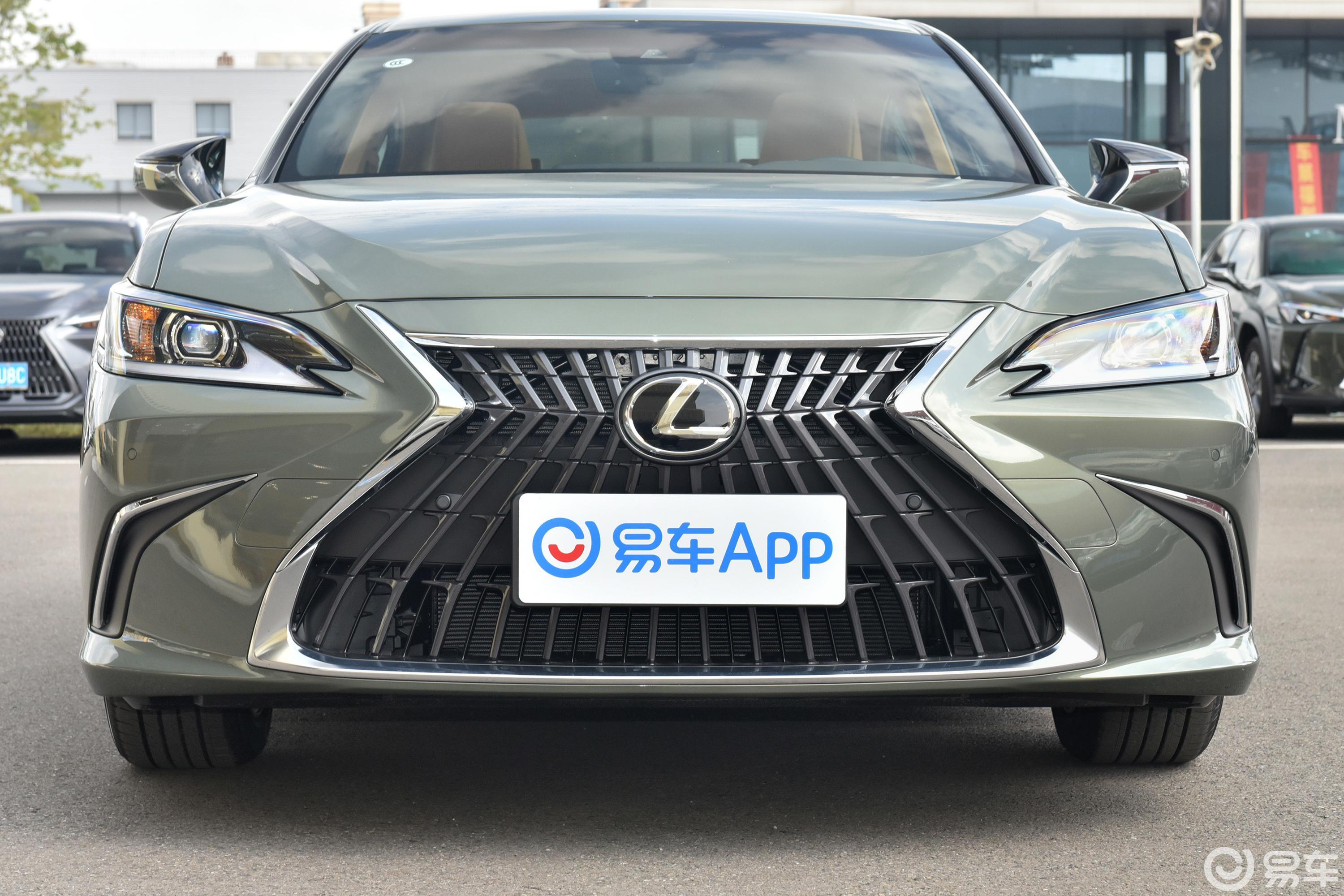 【雷克萨斯ES200 卓越版外观细节图片-汽车图片大全】-易车