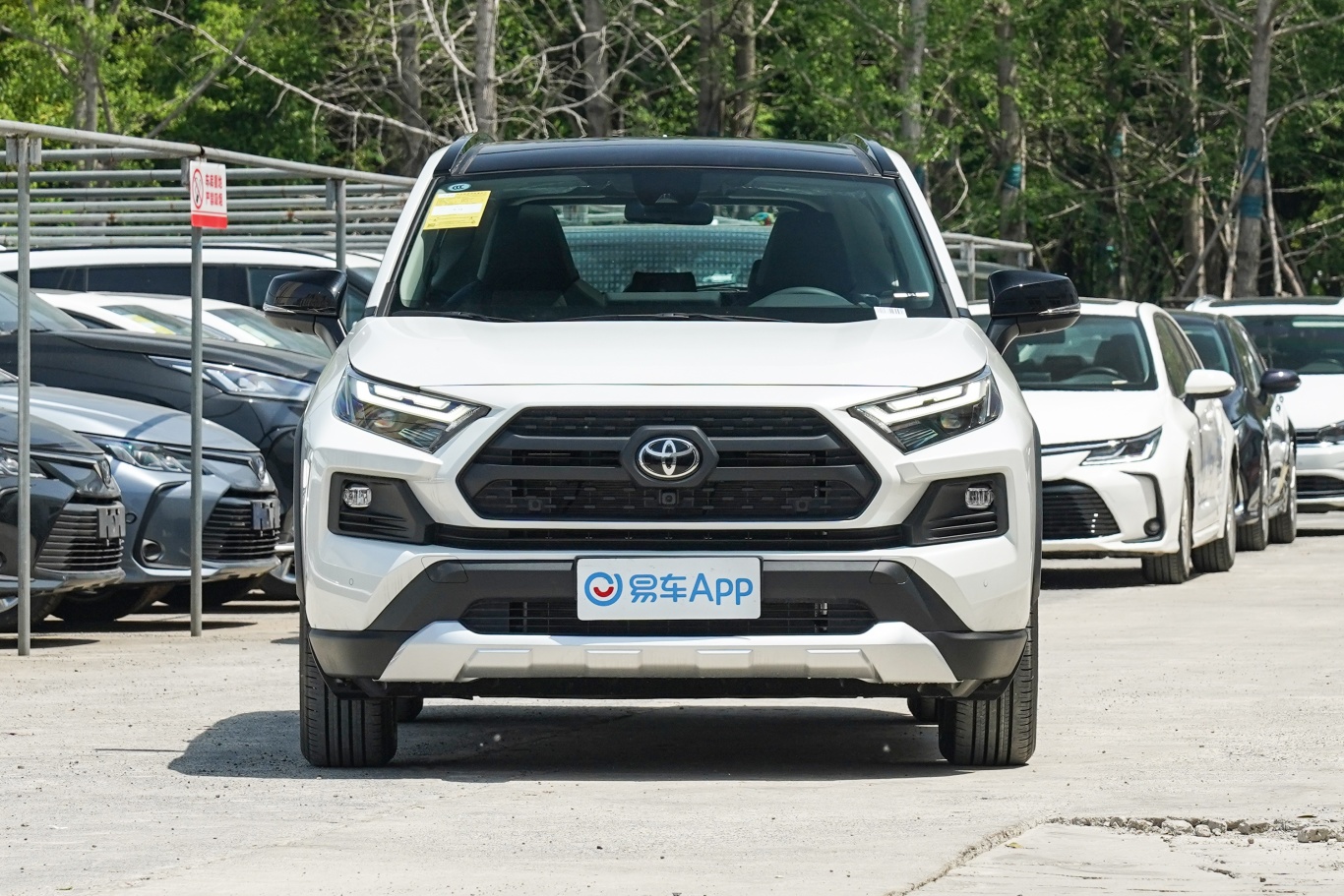 【RAV4荣放2.0L 四驱探险PLUS版正前水平图片-汽车图片大全】-易车