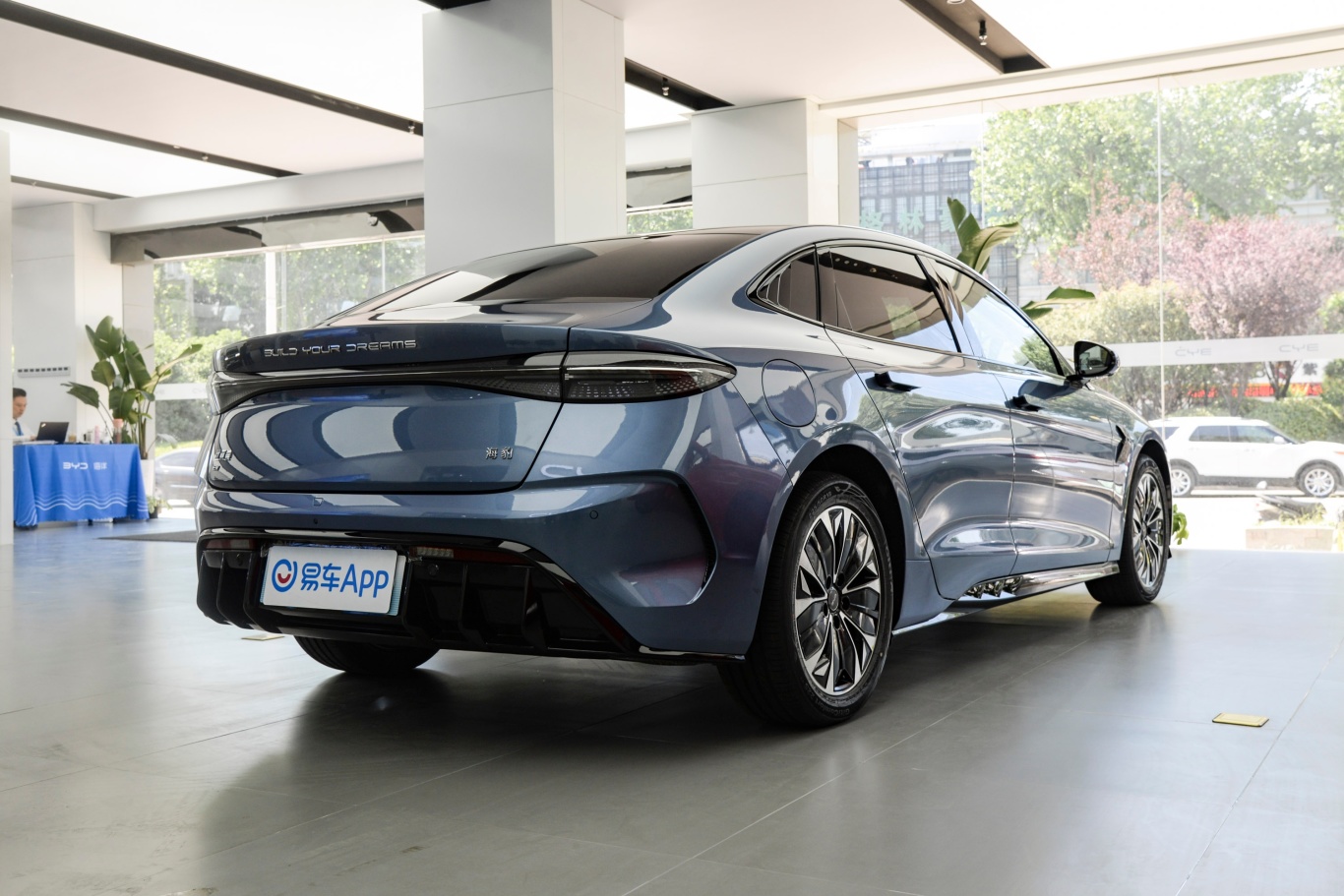【海豹EV 冠军版 550km 后驱尊贵型侧后45度车头向右水平图片-汽车图片大全】-易车