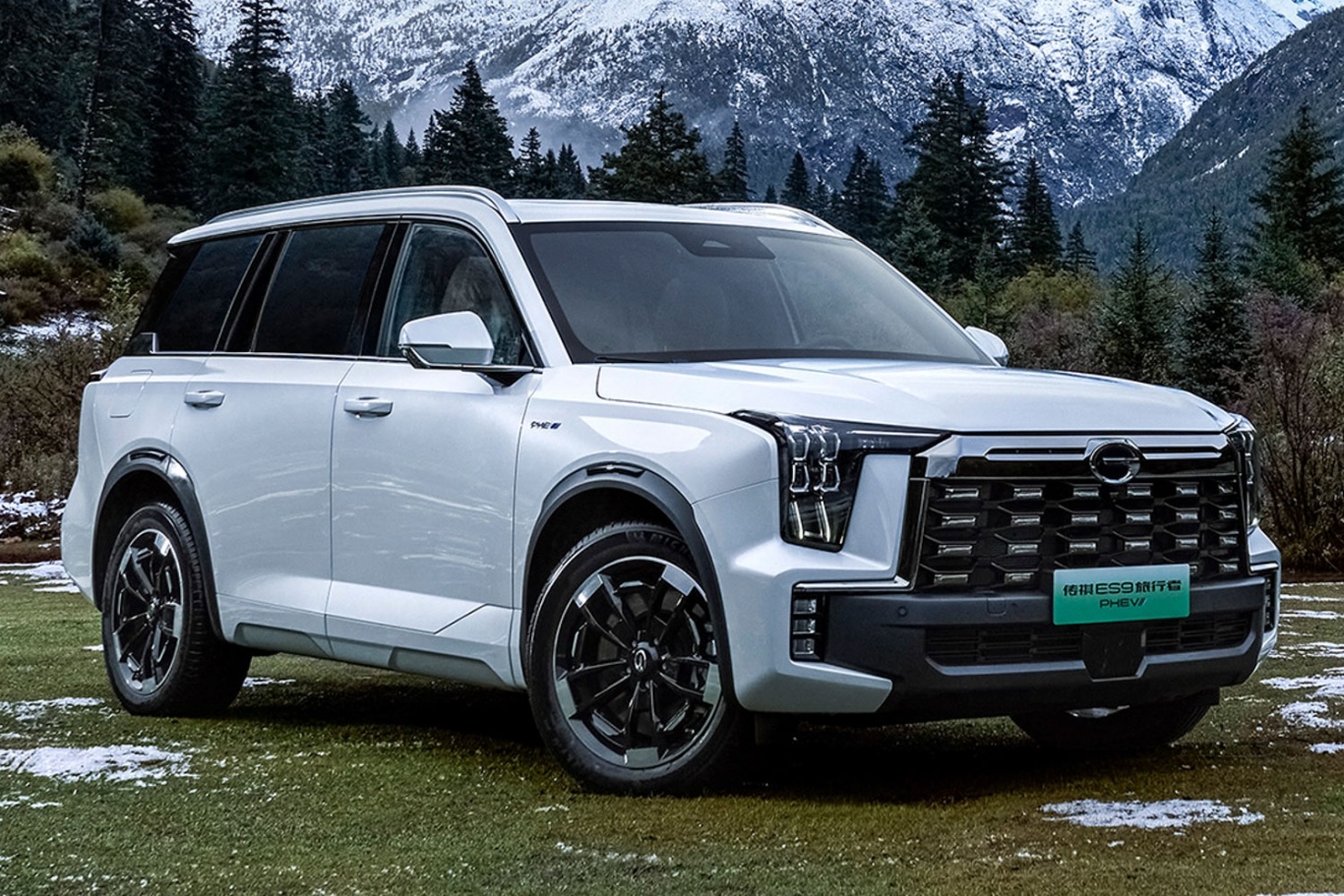 【传祺ES9旅行者 2.0T 143km Max 6座图片-汽车图片大全】-易车