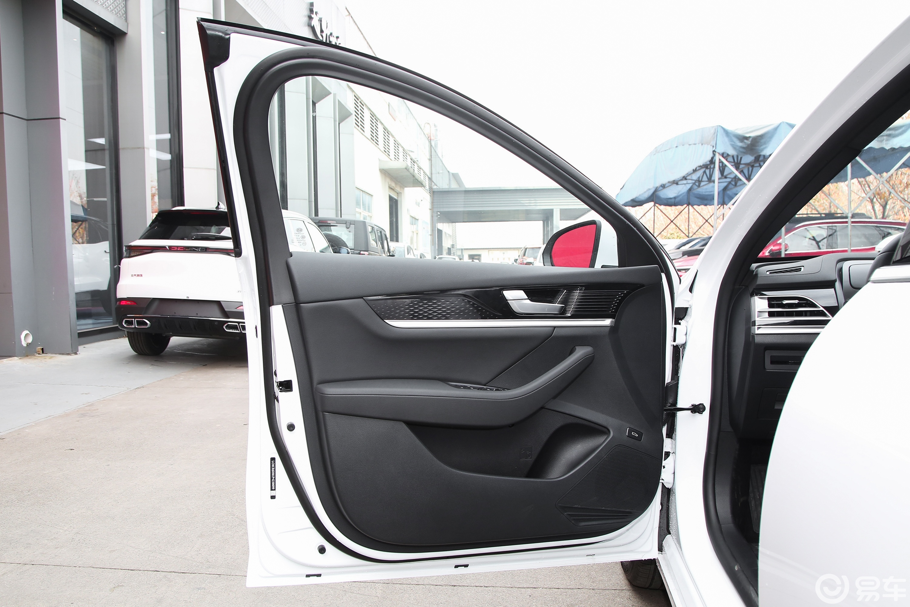 【秦PLUS新能源EV 510km 出行版驾驶员侧前车门图片-汽车图片大全】-易车