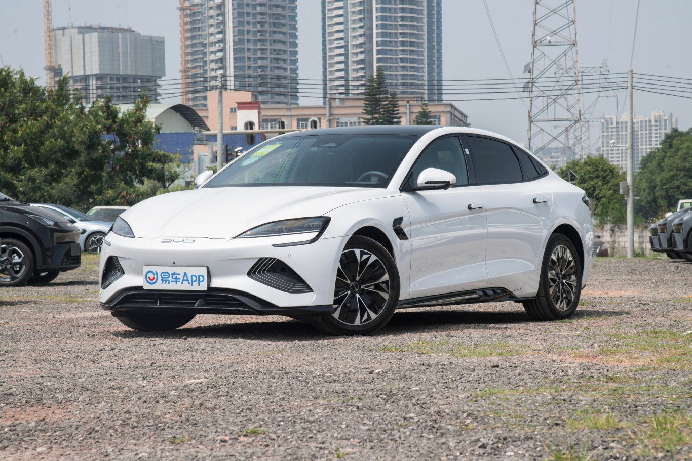 【海豹EV 荣耀版 550km 后驱尊贵型侧前45度车头向左水平图片-汽车图片大全】-易车