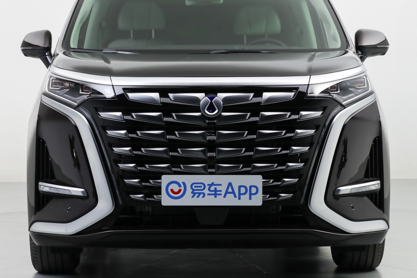 【腾势D9DM-i 1.5T 185km PIONEER 四驱创领型 4座外观细节图片-汽车图片大全】-易车