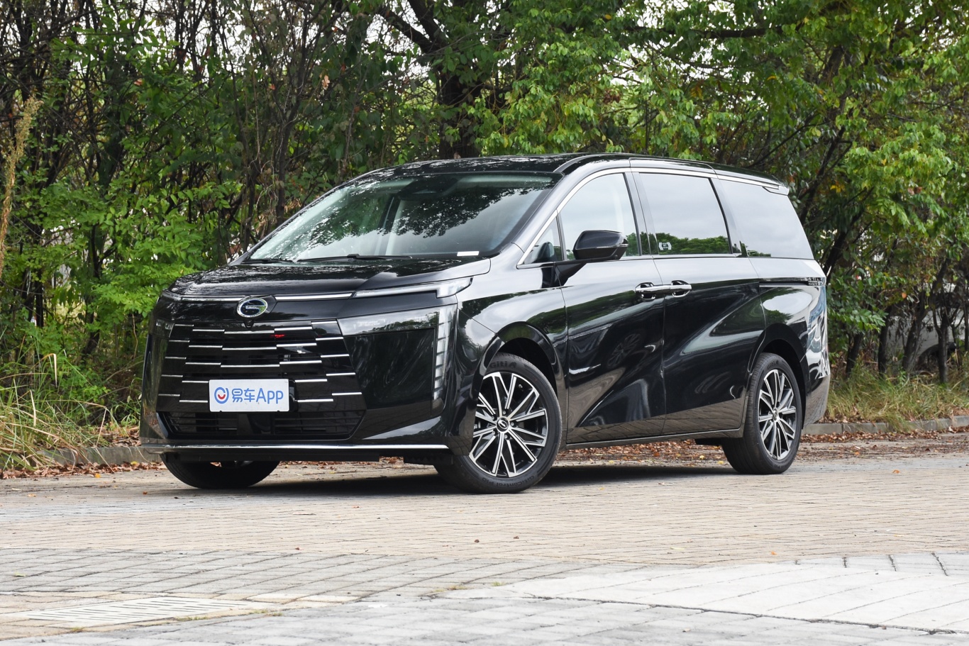 【传祺E8荣耀系列 2.0L 荣耀版侧前45度车头向左水平图片-汽车图片大全】-易车